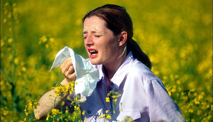 Managing hay fever this Spring