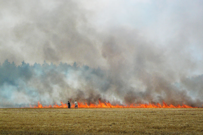 Harvest Fire Alert