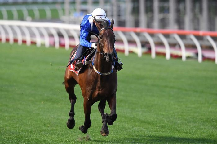 Winx Attempts 3rd Straight Cox Plate Victory