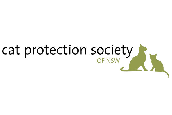 Cat Protection Society: Cat of the week