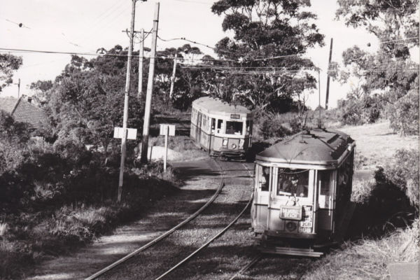 Melbourne’s iconic W Class trams up for sale