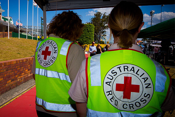 Only a third of $95 million Red Cross bushfire donations given to ...