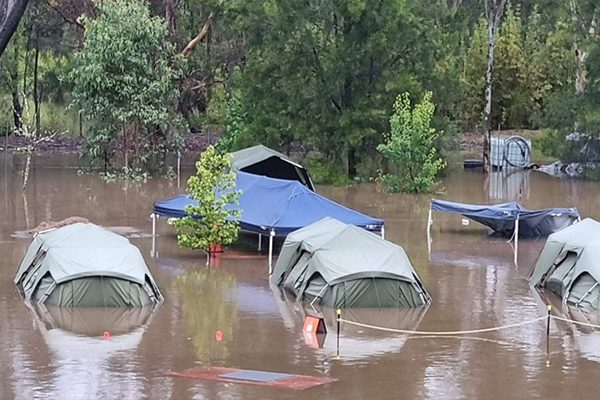 South Coast's Mogo Zoo 'devastated' by flash flooding