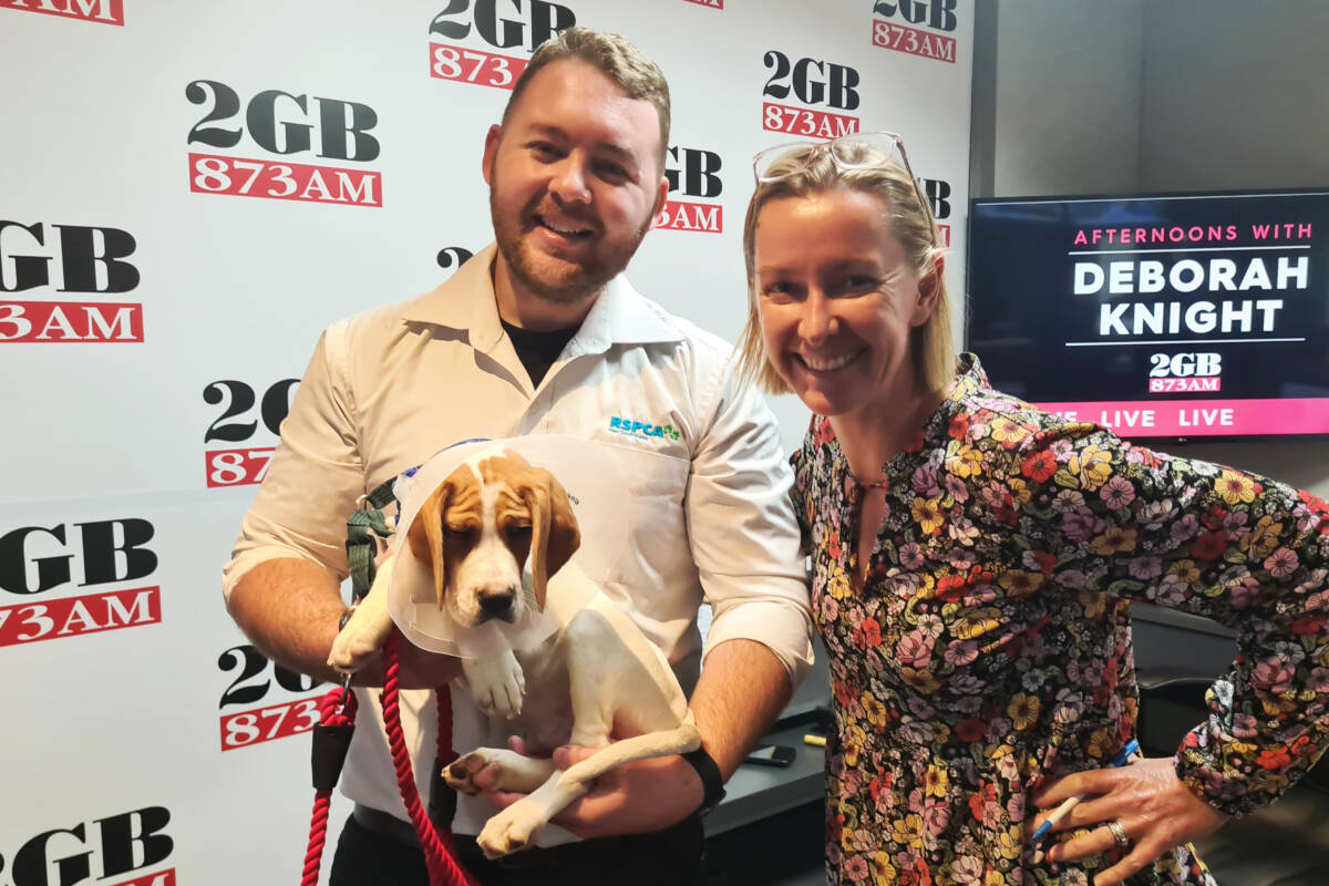 RSPCA gives Deborah Knight advice on adopting pets