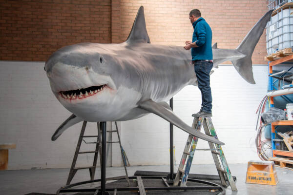 The 'remarkable' process behind latest shark models at Australian Museum