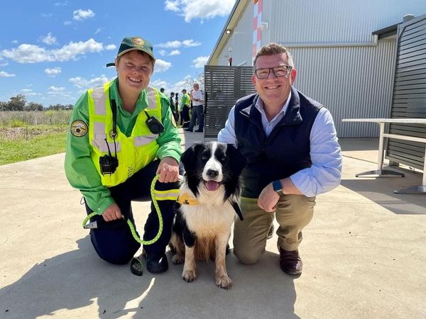 Dogs helping to rescue missing people