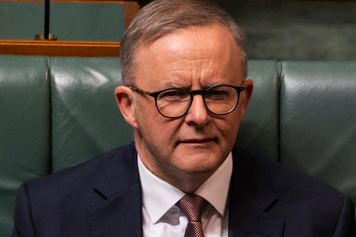 'It’s looking like another broken promise': Albo’s nursing home plan