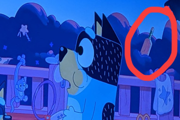 The Aussie item on hit show ‘Bluey’ that baffles Americans: US/UK Report