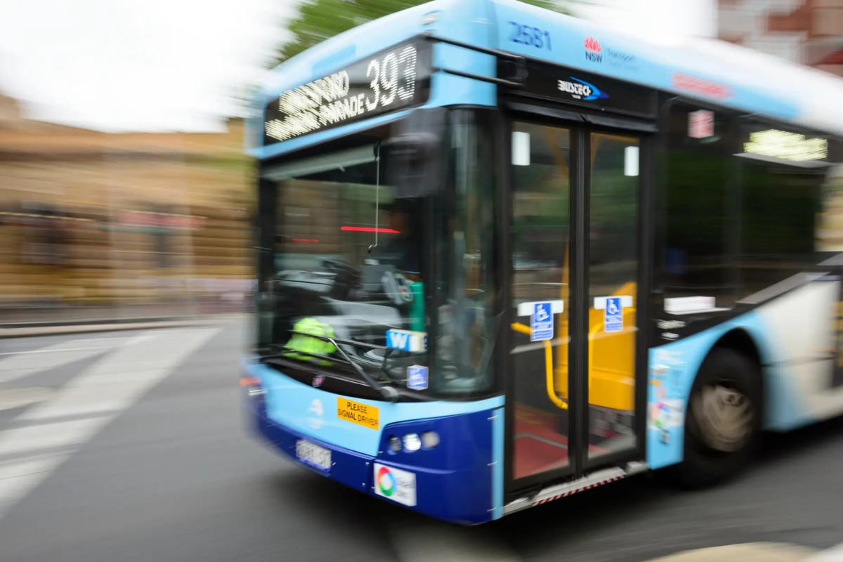 The 'pirate' bus service servicing the Northern Beaches