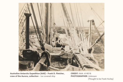 GALLERY | Rare new images of Antarctic expeditions released