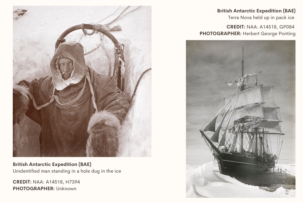 GALLERY | Rare new images of Antarctic expeditions released