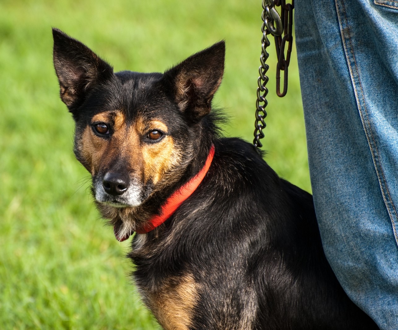 'It does work!': Aussie farmer's project helping troubled teens