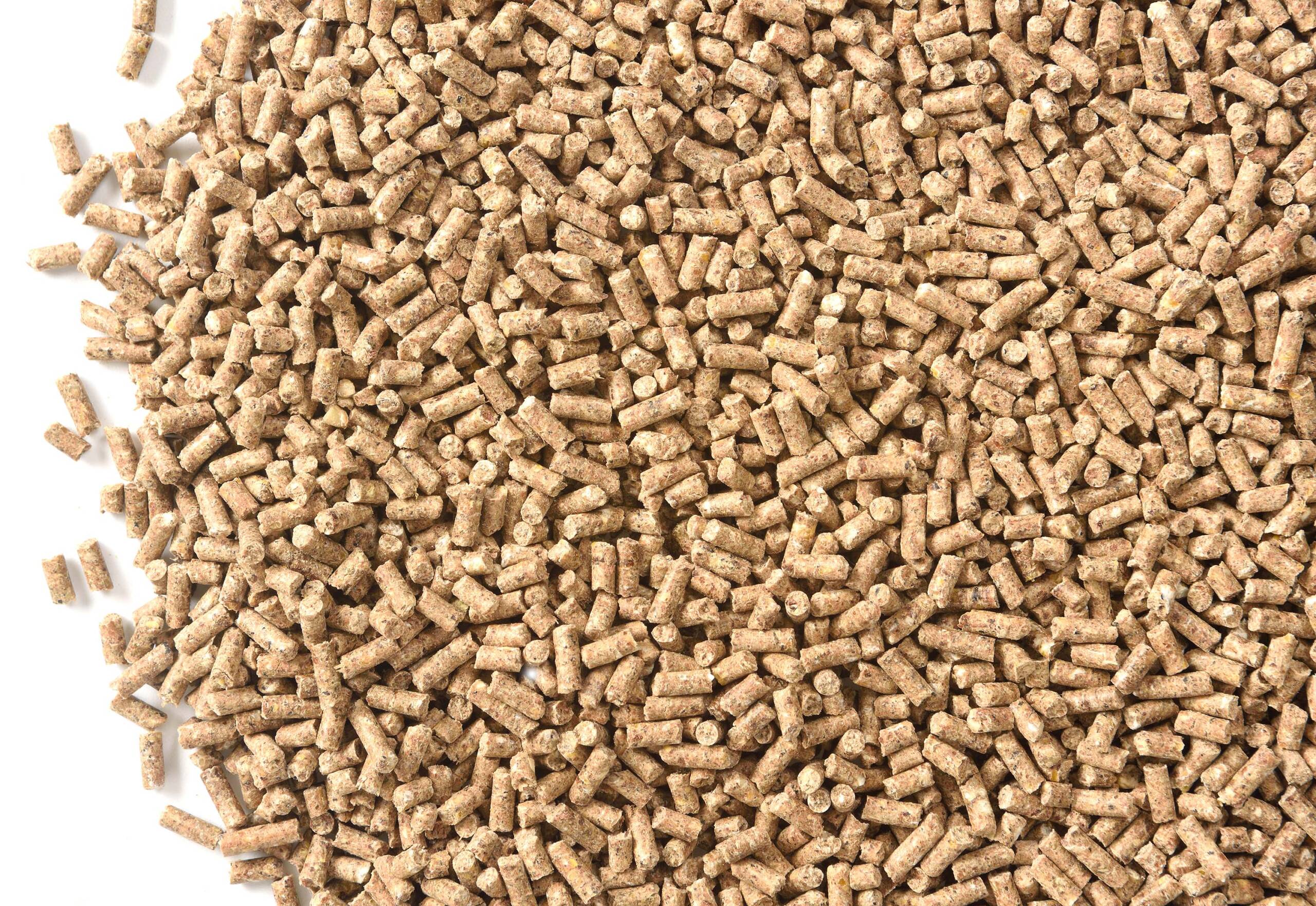 Turning food waste into animal feed