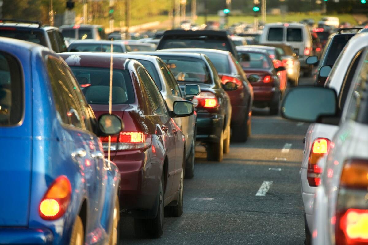 'It's too easy to get a driver's license': Trent Nikolic calls for ...