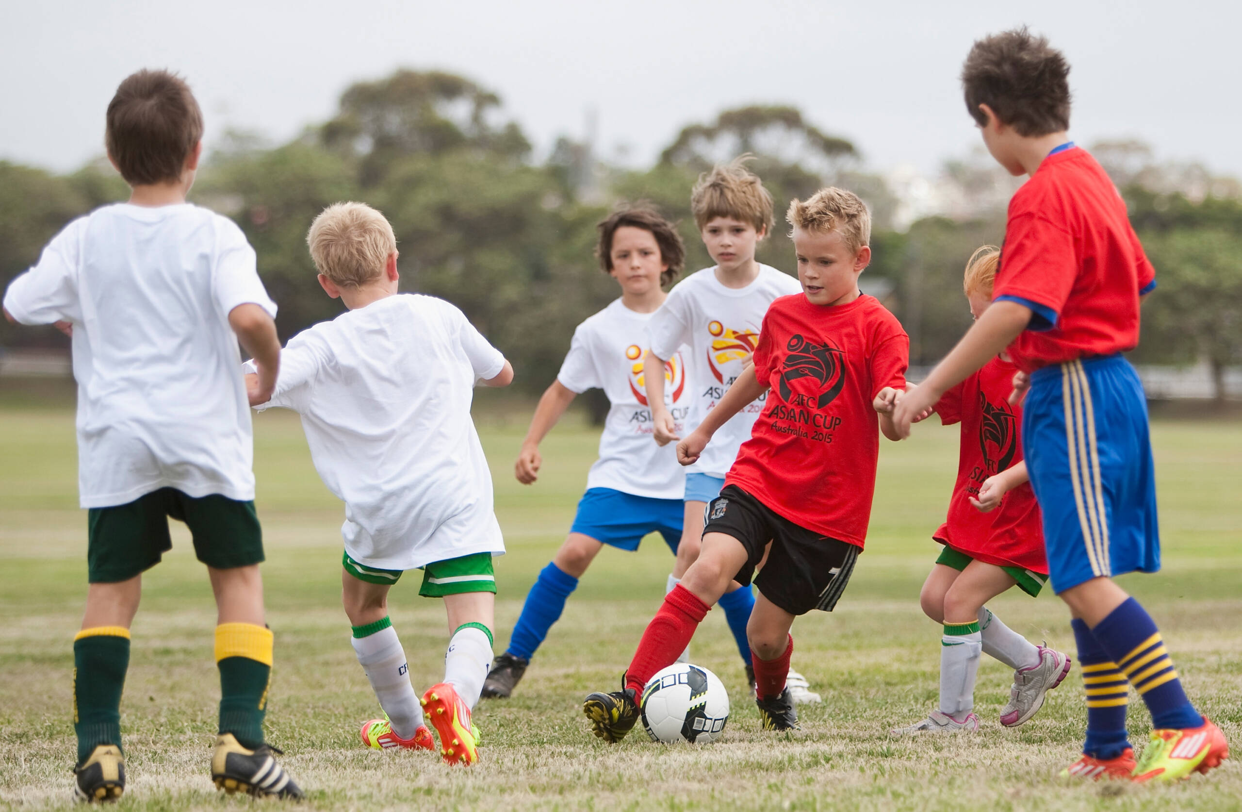 Opposition announces $250 million community sport investment