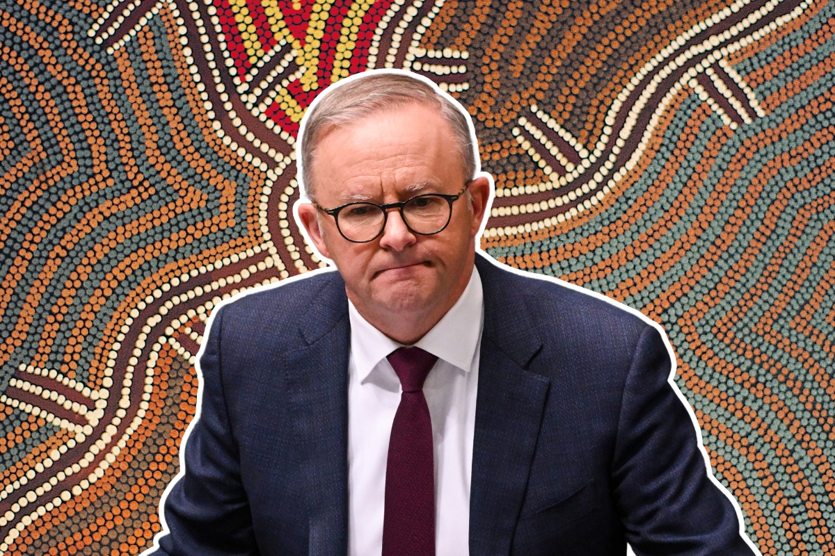 'Divides and conquers': The grim potential of Labor's treaty plans