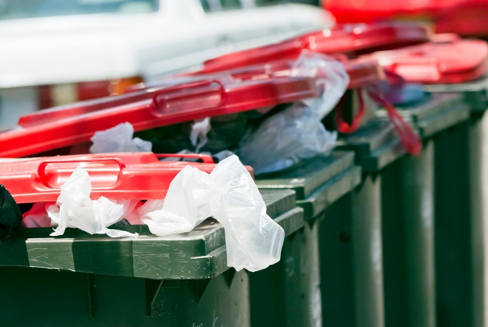 Inner West moves to fortnightly red bin collections