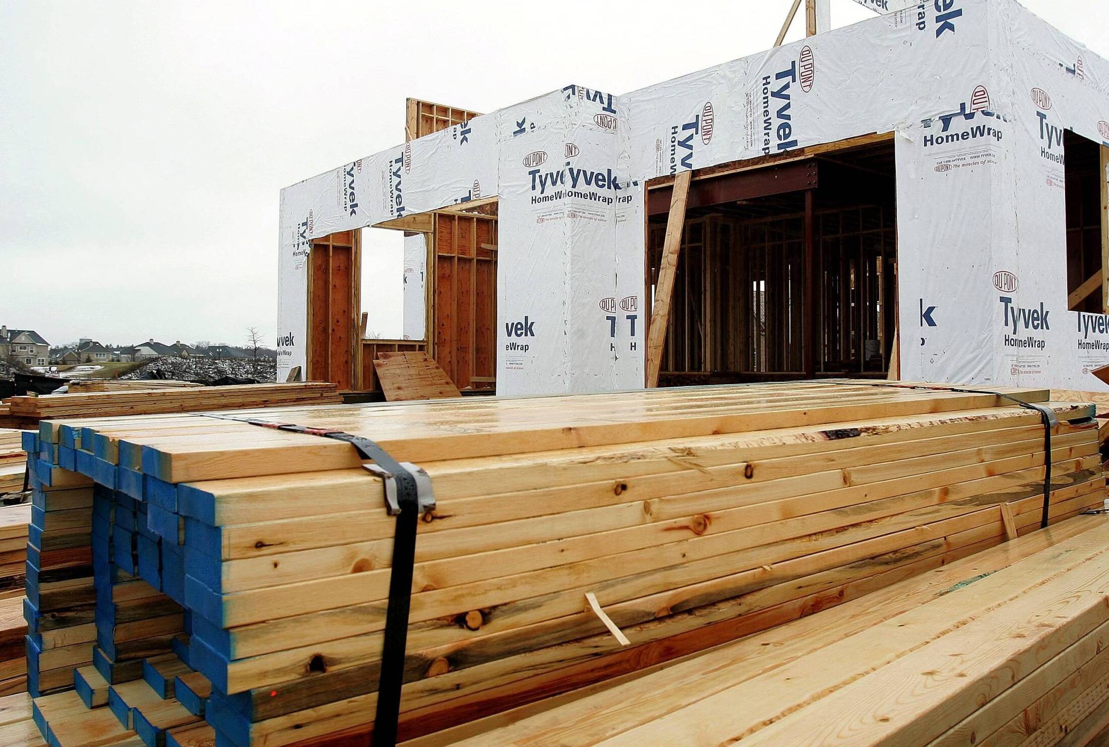 'This is not practical': Logging restrictions to blame Australian ...