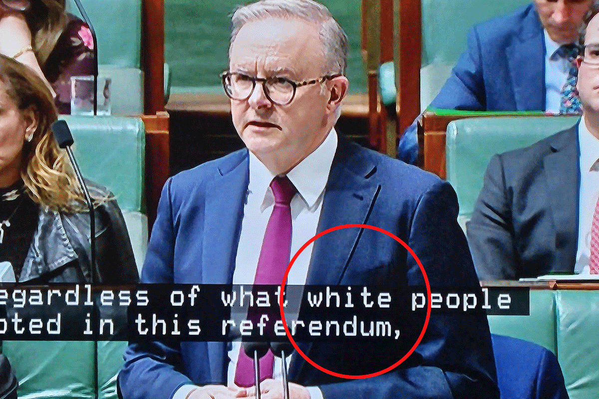 'Own it': Ray responds to new twist in Albo's No voter controversy