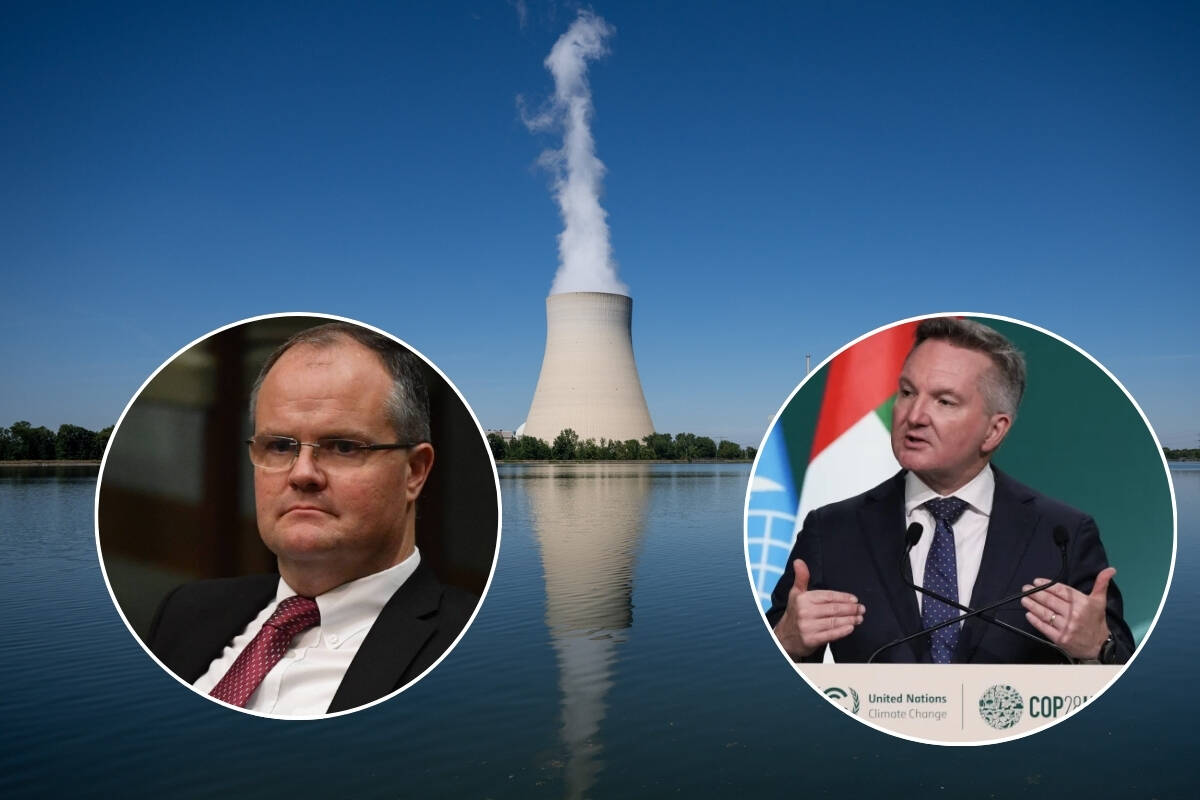 Physicist challenges Labor's energy commitments