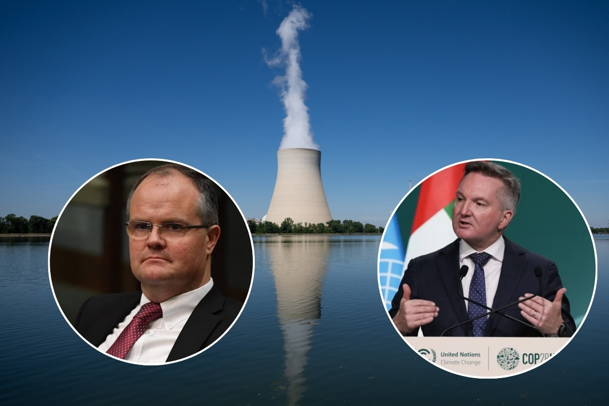 Physicist challenges Labor's energy commitments