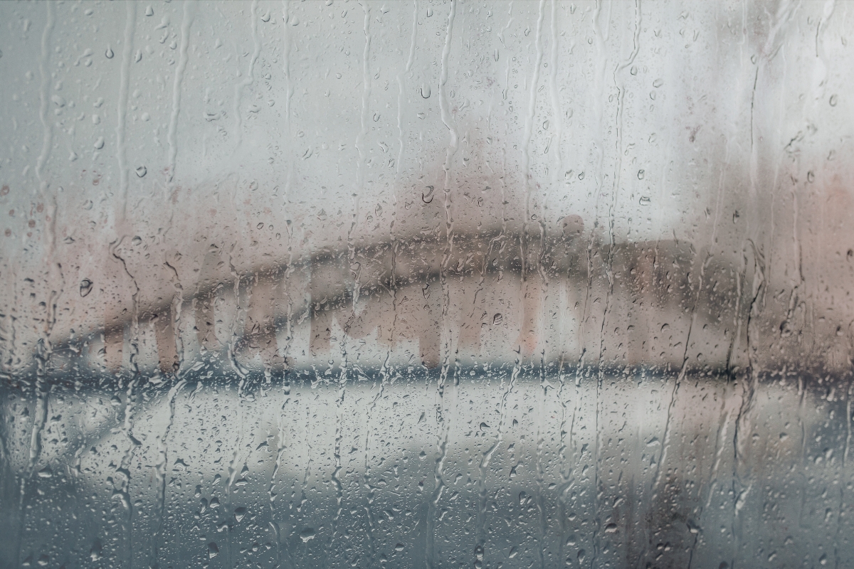 Here's why Sydney and NSW have been just so wet and humid this summer