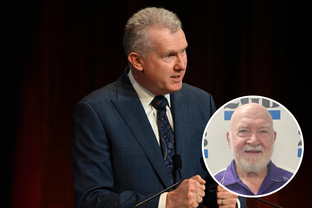 ‘Bad for business’ - Union boss slams Albo’s brush the boss laws