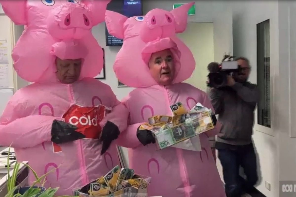 Pigs in Parliament - MPs in supermarket stunt