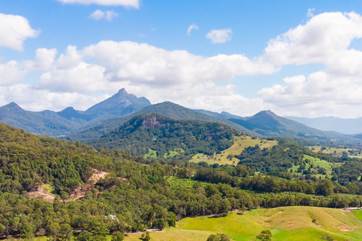 Petition launched to re-open Mount Warning