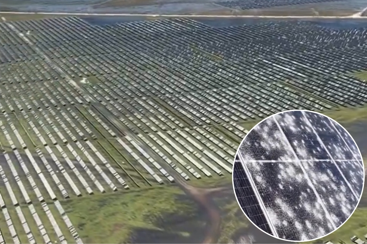 ‘Net Zero smashed’ - Mother Nature destroys giant solar farm