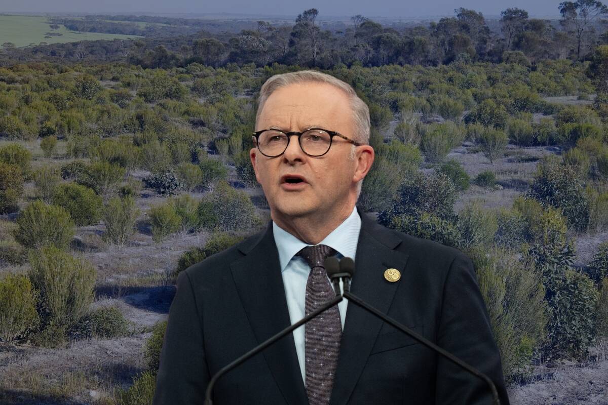 ‘Top Secret’ - The controversial policy Canberra is trying to hide