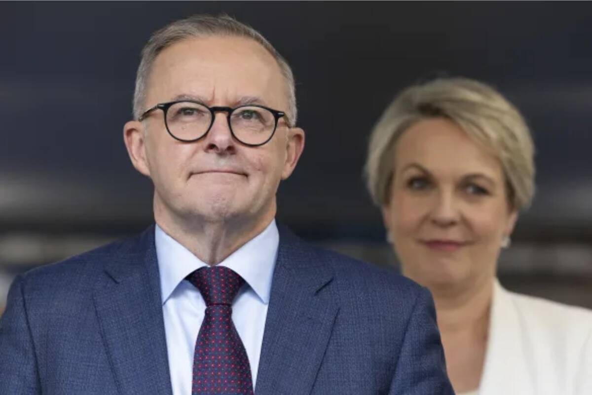 'Madness' - New Federal environmental watchdog set to be introduced