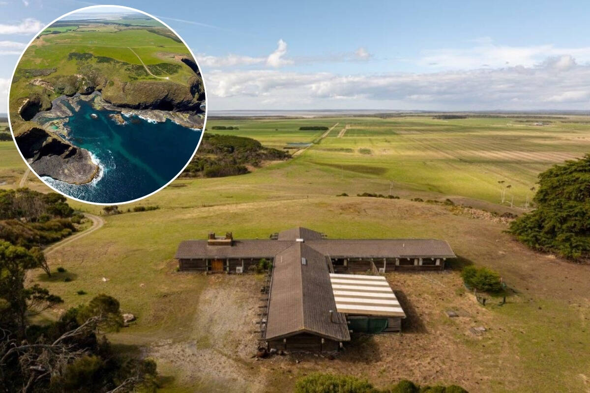 ‘G’day China’ - Aussies join forces to buy back famous farm