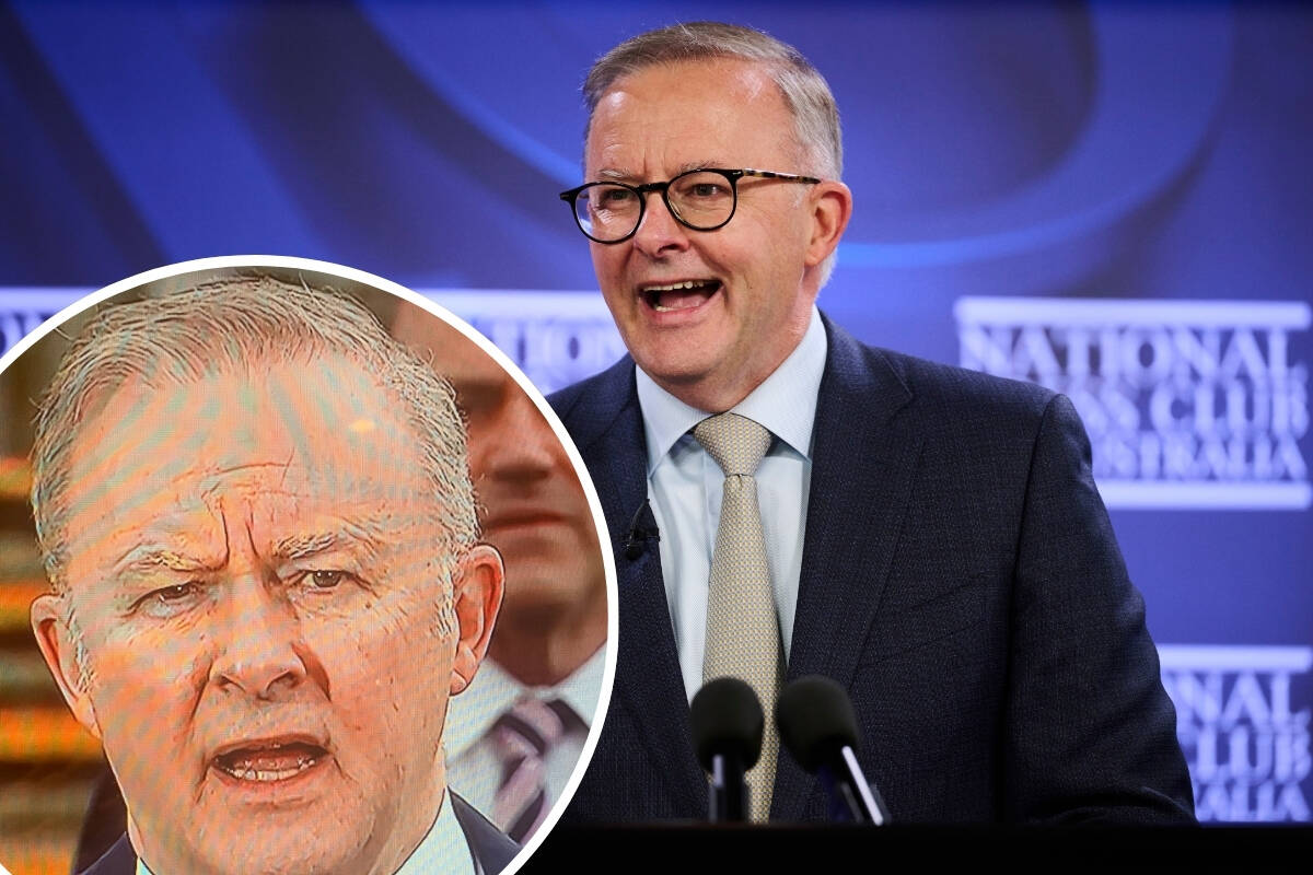'He looks older than me': Ray's cheeky response to Albo's latest presser