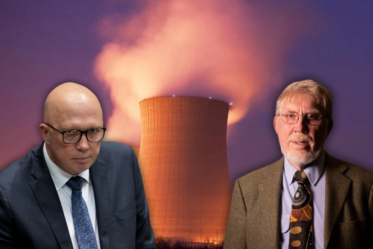 Peter Dutton's nuclear power proposal sparks debate on energy future