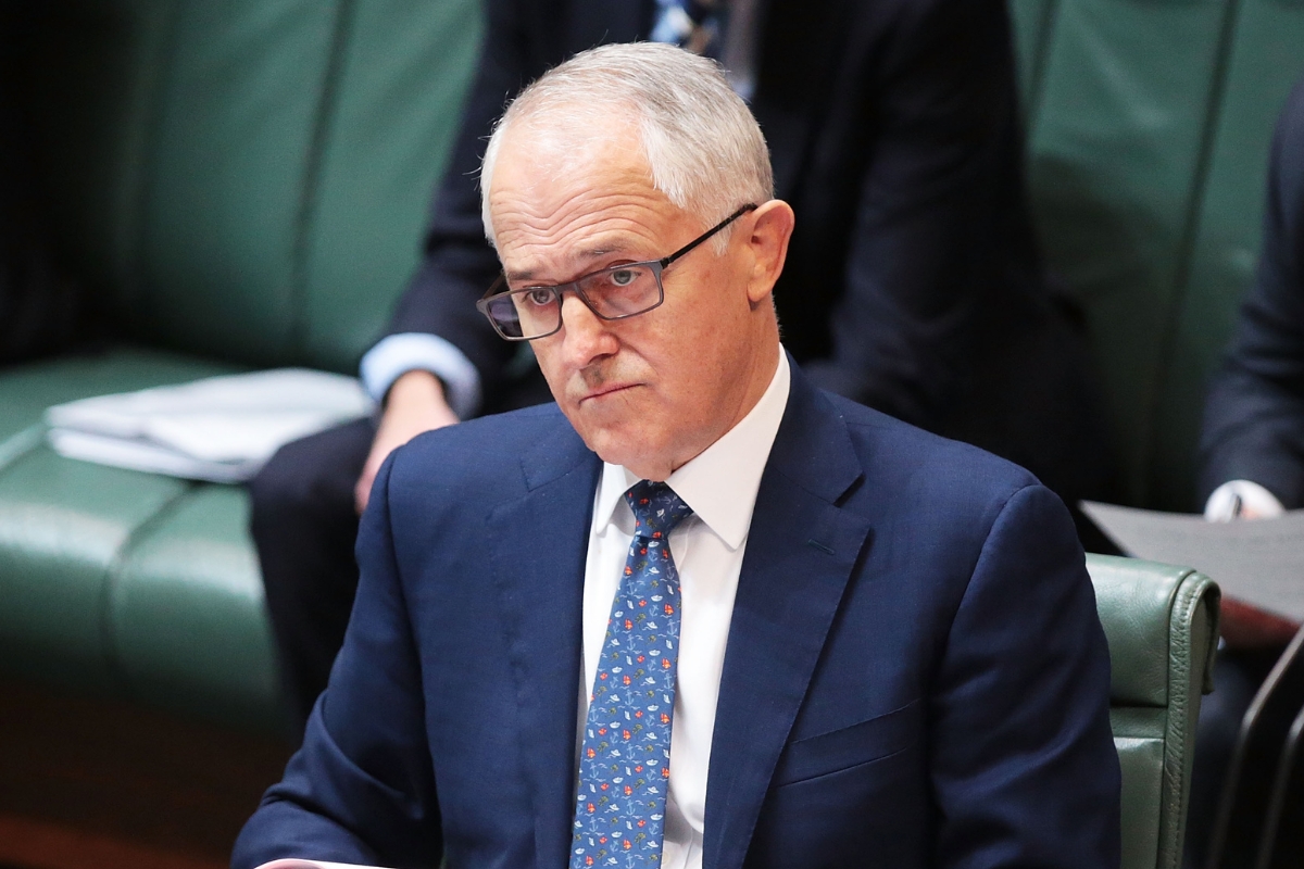 'Relevance Deprivation': Ray responds to Malcolm Turnbull's Peter ...