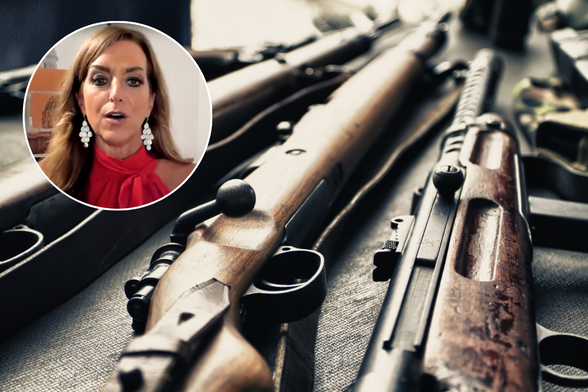 Why gun reform might not be on the cards despite use of gun in ...