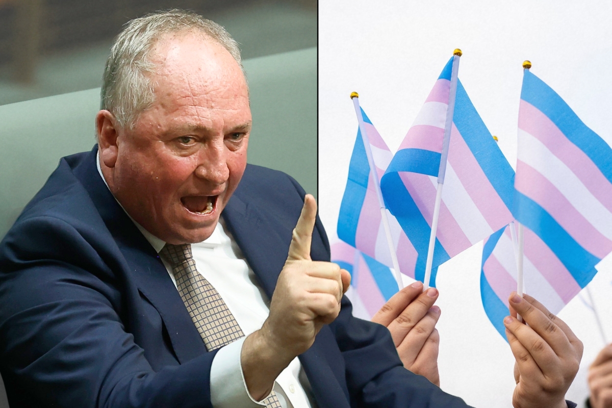 ‘Utter crap’ - Barnaby Joyce slams transgender pregnancy policy